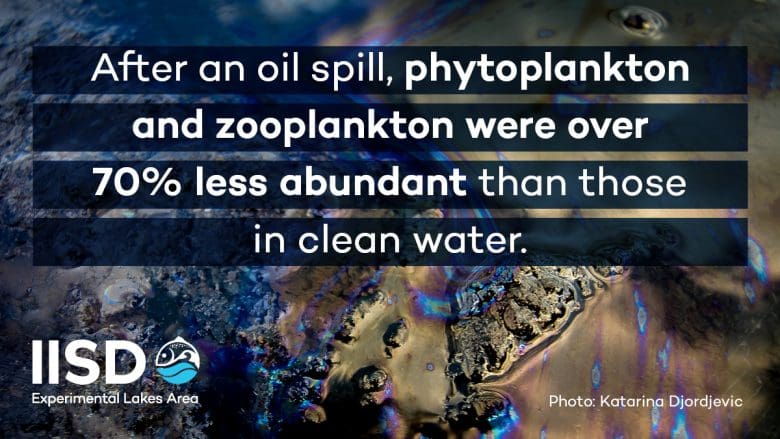 What Happens When Oil Spills into a Lake? | Freshwater Oil Spills ...