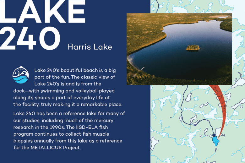 Steward a Lake at IISD-ELA | IISD Experimental Lakes Area