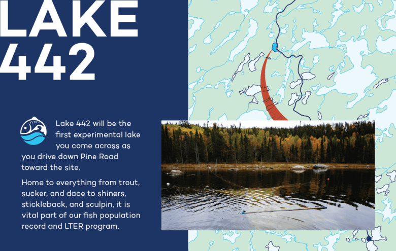 Steward a Lake at IISD-ELA | IISD Experimental Lakes Area