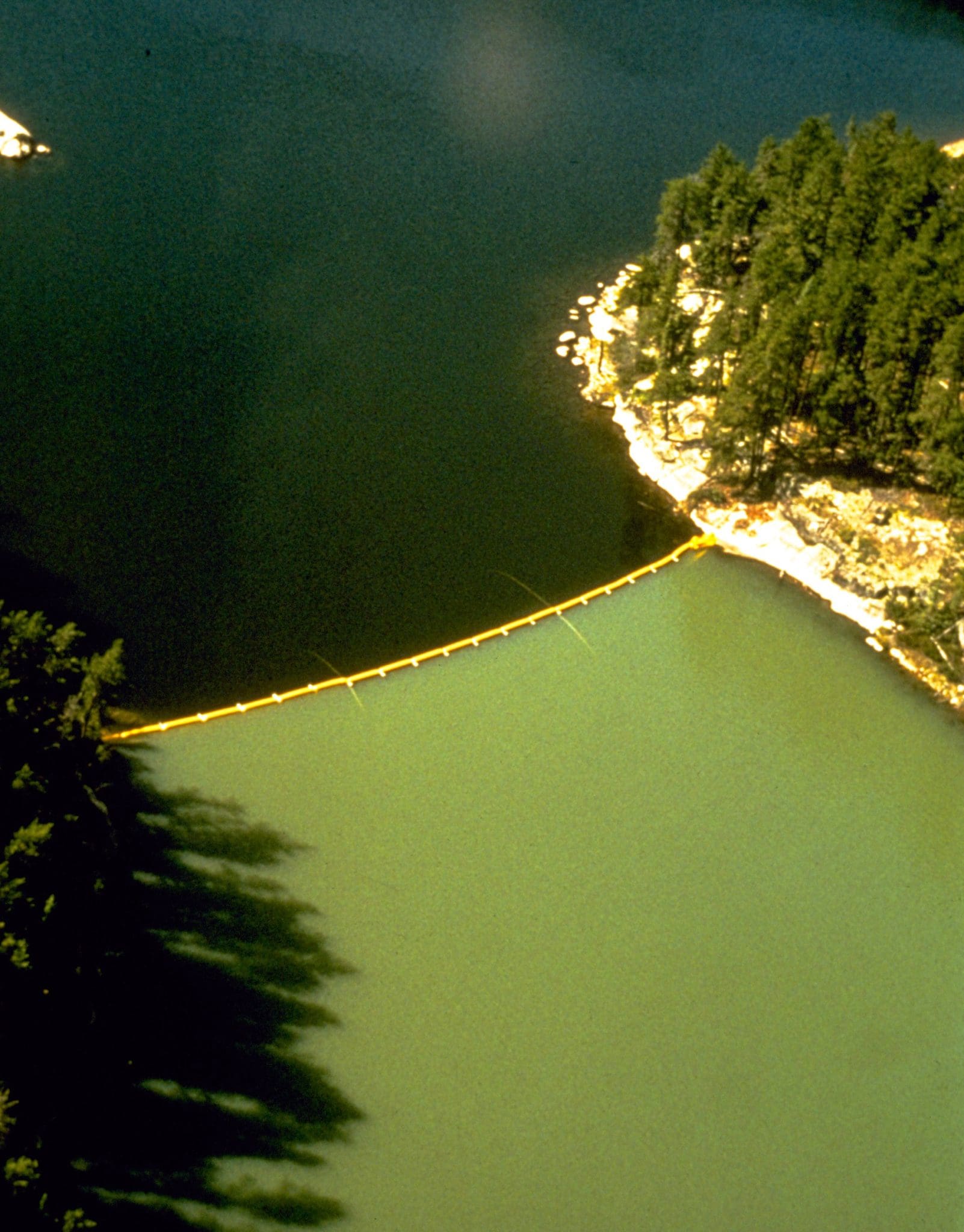 Iconic image from the 1970s of the impact of phosphorus on a divided ...