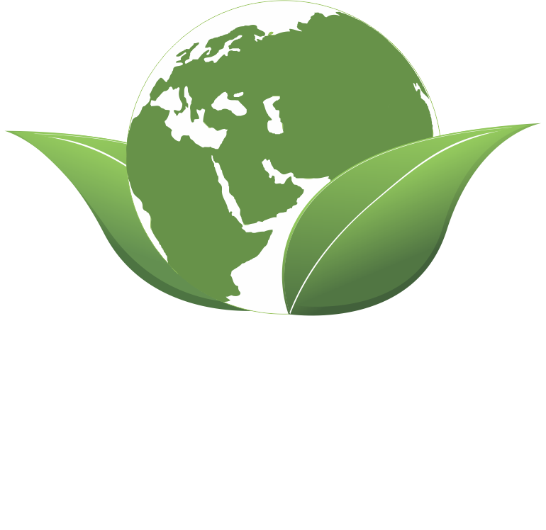 Mapping India's Energy Subsidies 2023
