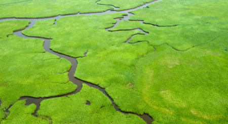 Sustainable Asset Valuation (SAVi) Conservation of the Saloum Delta in ...