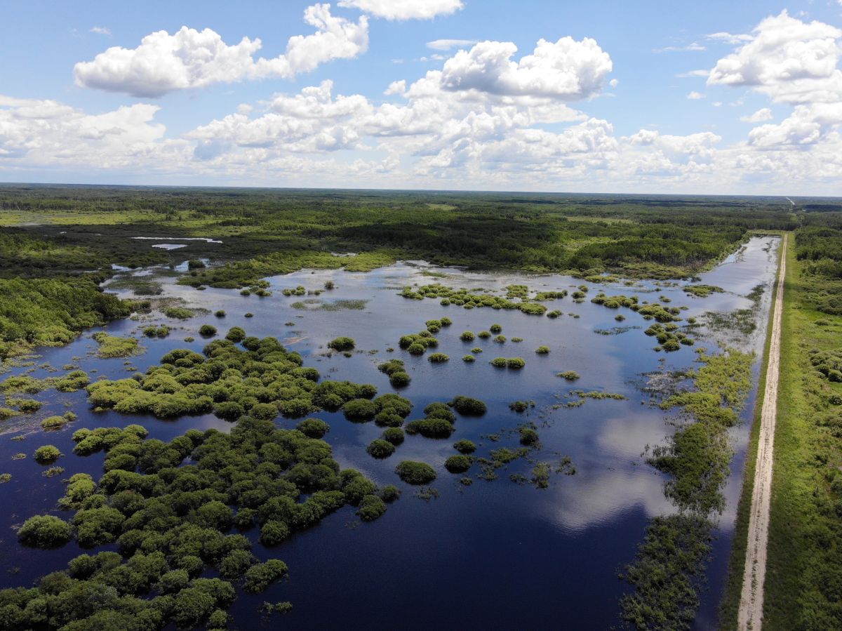 Natural Infrastructure for Flood Mitigation | International Institute ...