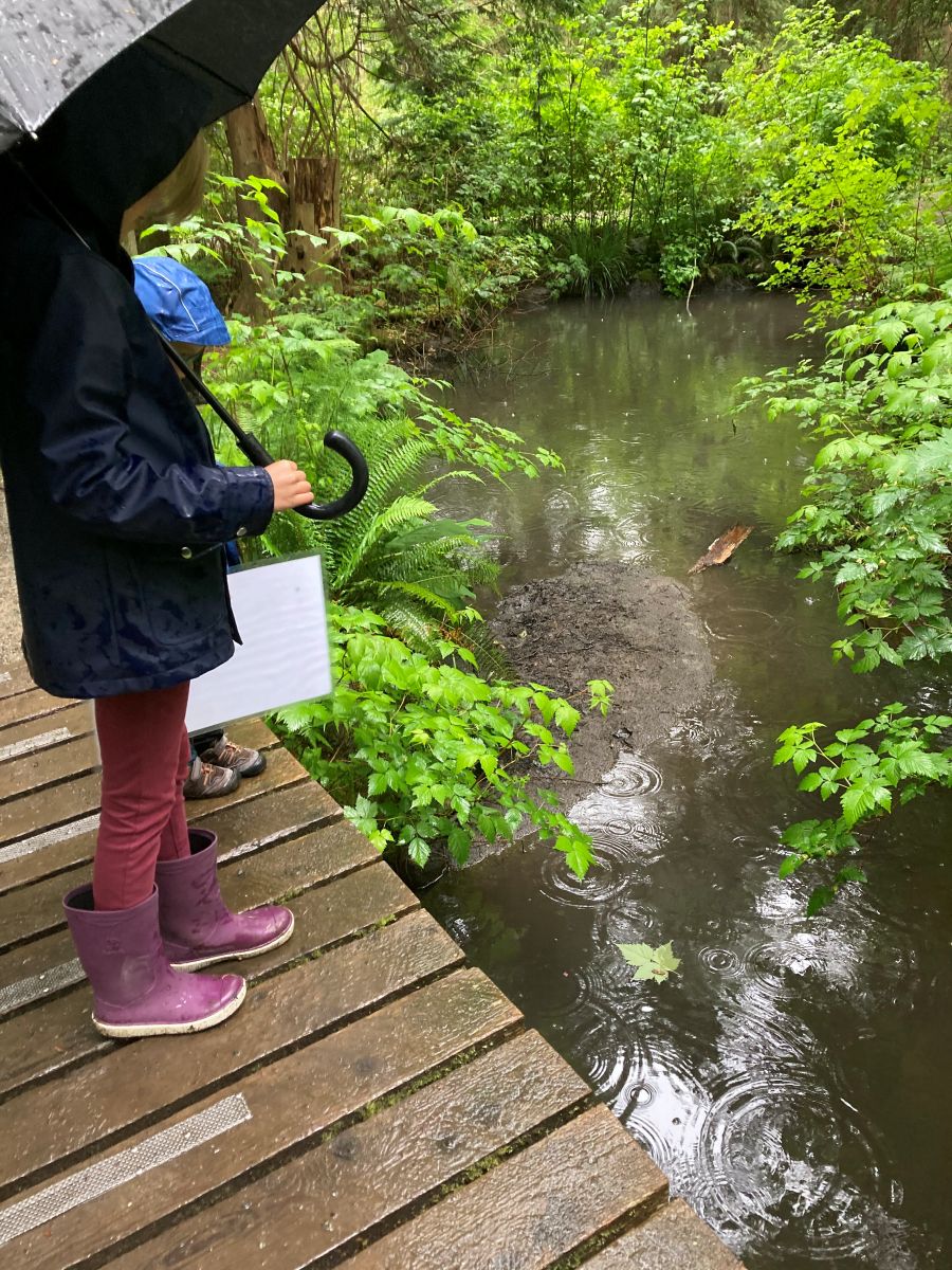 Natural Infrastructure for Water Supply and Drought Mitigation ...