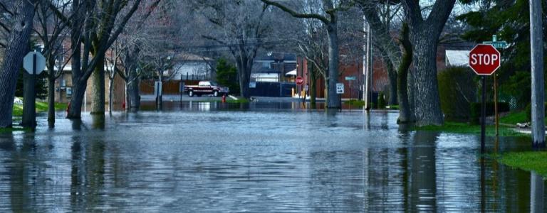 Natural Infrastructure for Flood Mitigation | International Institute ...