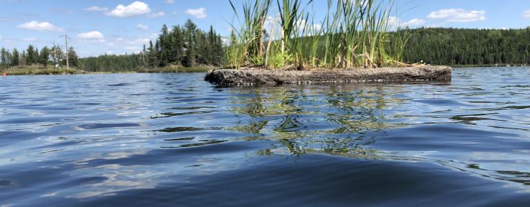 Floating Treatment Wetlands | International Institute for Sustainable ...