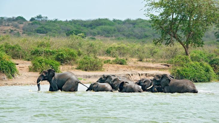 Climate Adaptation and Protected Areas (CAPA) Initiative ...