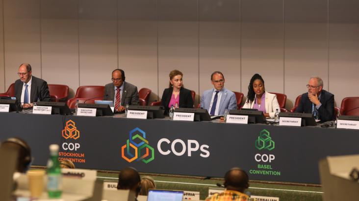 Articles | International Institute for Sustainable Development