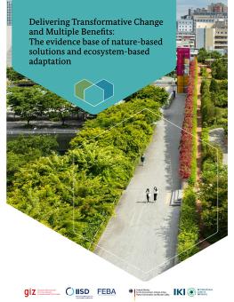 Delivering Transformative Change and Multiple Benefits | International ...