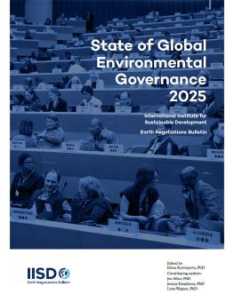 State of Global Environmental Governance 2025 | International Institute ...