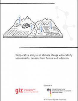 Comparative Analysis of Climate Change Vulnerability Assessments ...