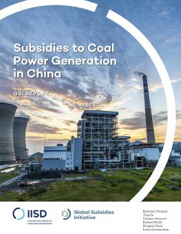 Subsidies to Coal Power Generation in China | International Institute ...