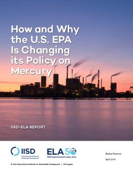 How and Why the U.S. EPA Is Changing its Policy on Mercury ...