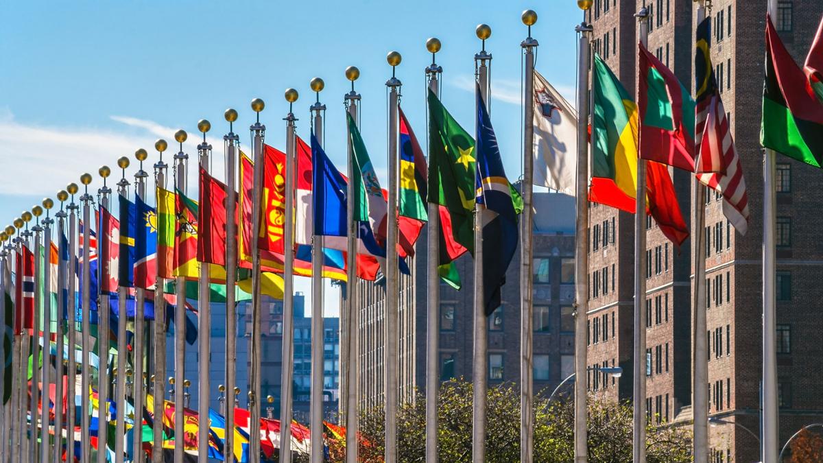 Governance and Multilateral Agreements | International Institute for ...