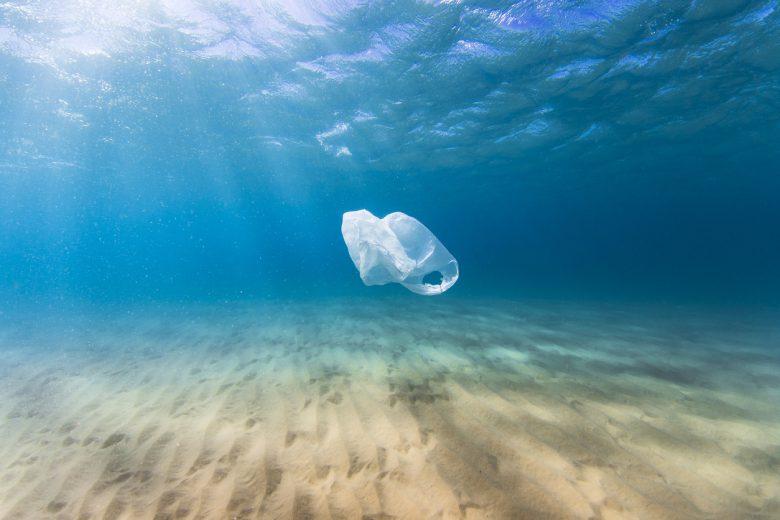 Measuring the Impact of Microplastics on Fresh Water | International ...