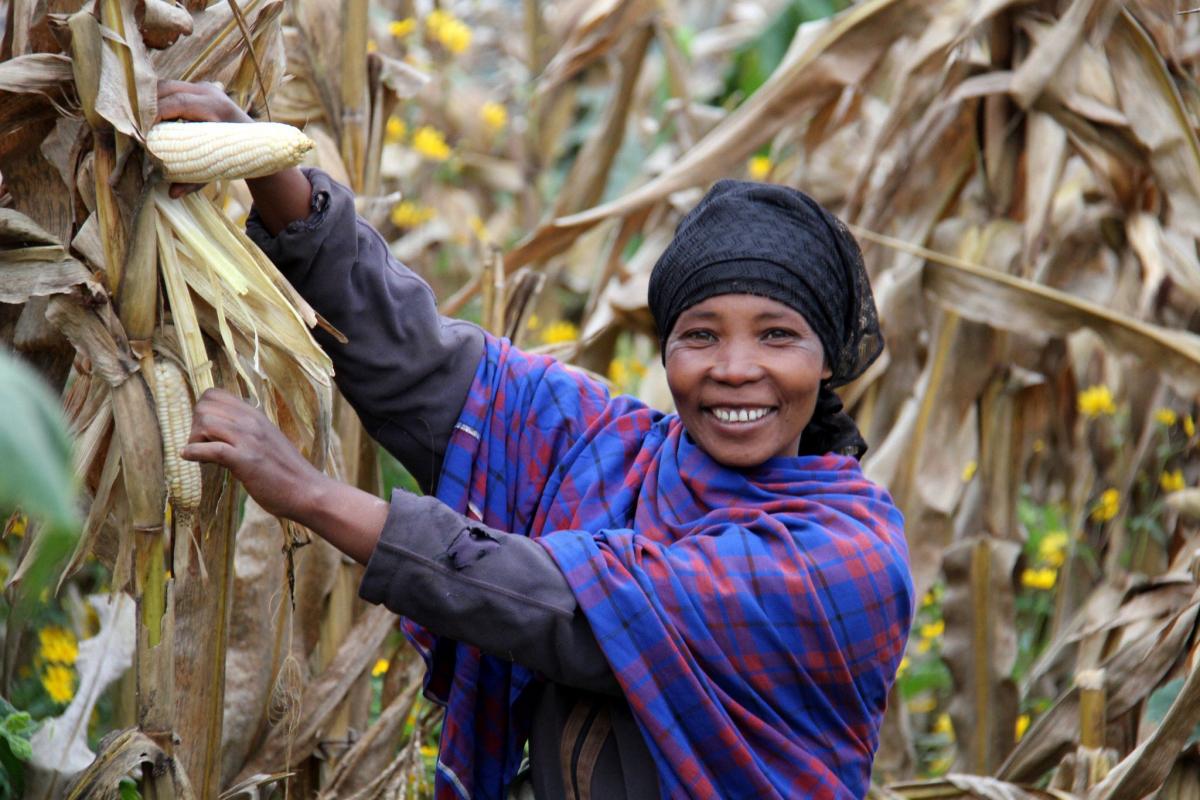 For an Extra USD 14 Billion per Year, We Can End Hunger, Double Incomes ...