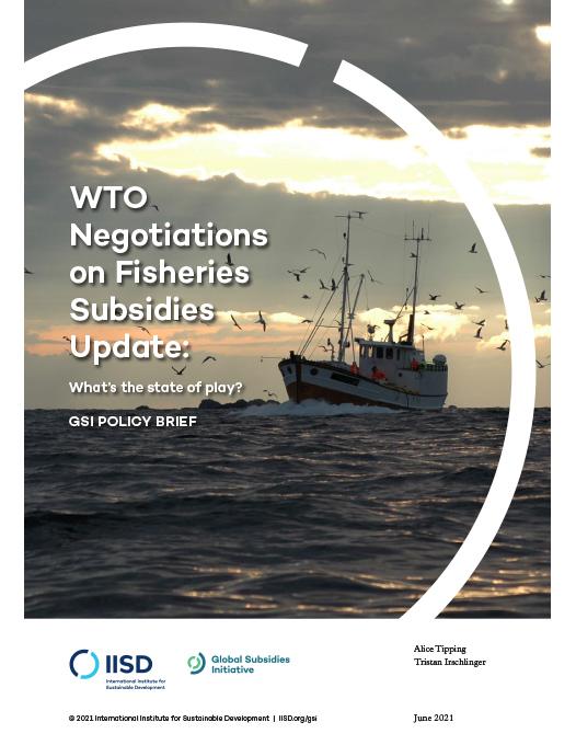 WTO Negotiations on Fisheries Subsidies Update: What's the state of ...