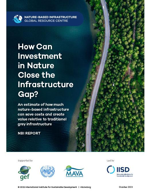How Can Investment in Nature Close the Infrastructure Gap ...