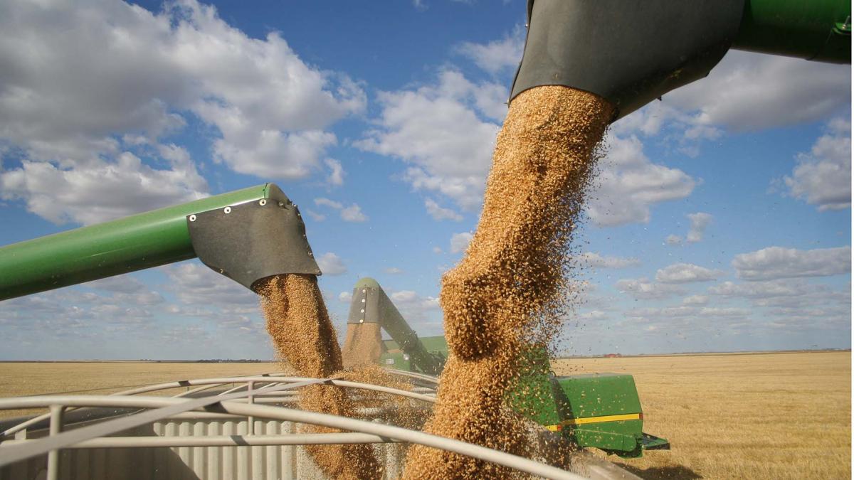 Sustainable Food Systems in Canada | International Institute for ...