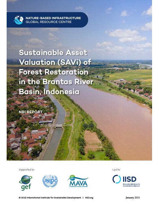 Sustainable Asset Valuation (SAVi) of Forest Restoration in the Brantas ...