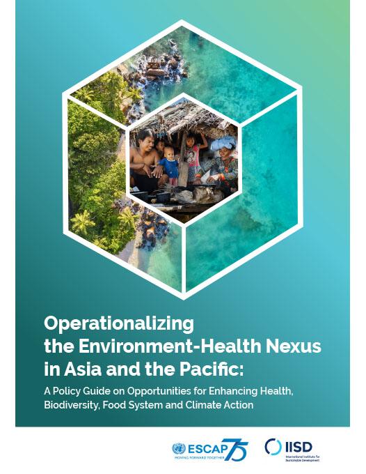 Operationalizing the Environment-Health Nexus in Asia and the Pacific ...