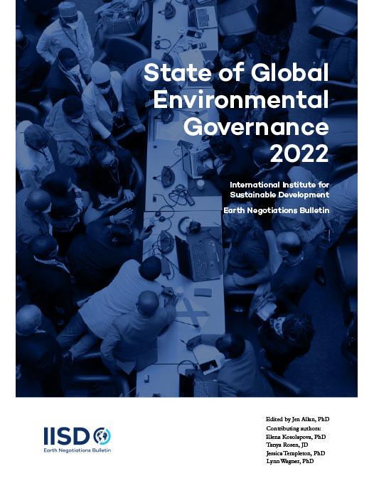 The State of Global Environmental Governance 2022 | International ...