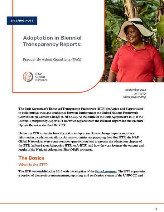Adaptation in Biennial Transparency Reports | International Institute ...