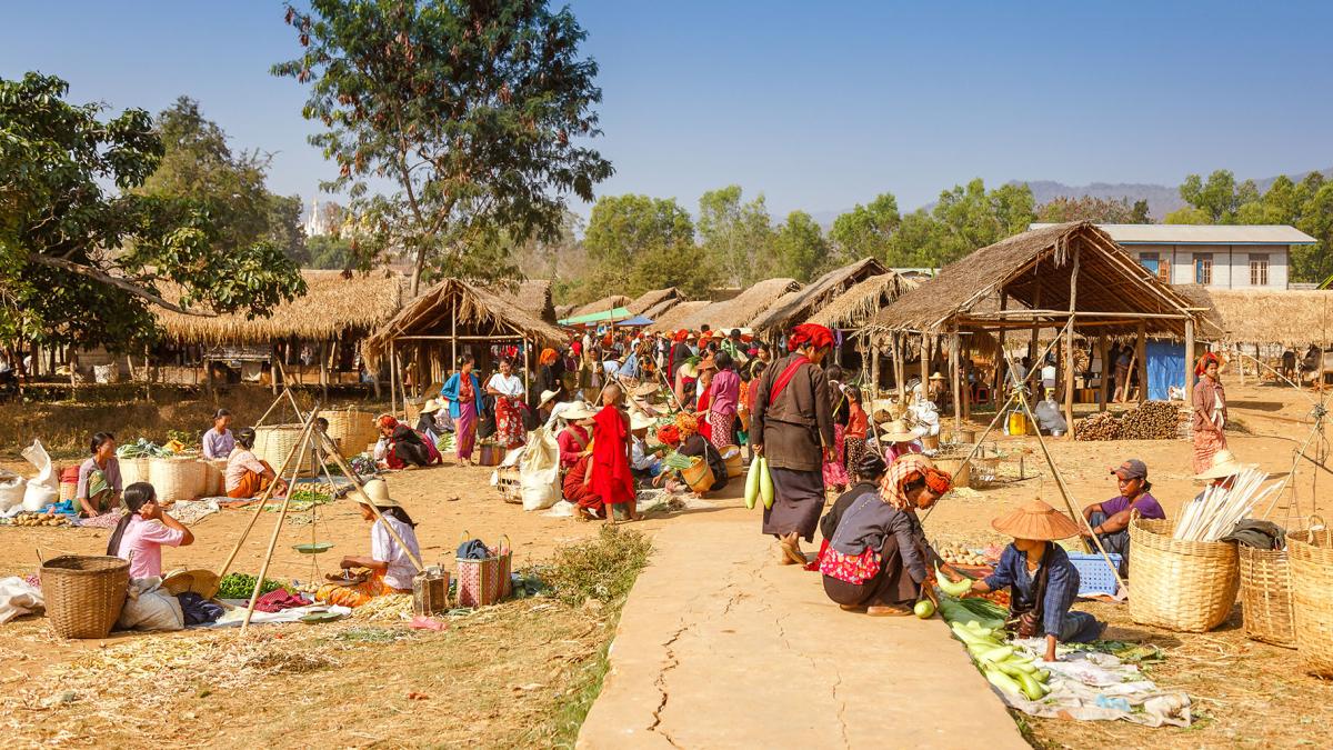 How Can Sustainability Standards Do More to Ratchet Up Smallholder ...