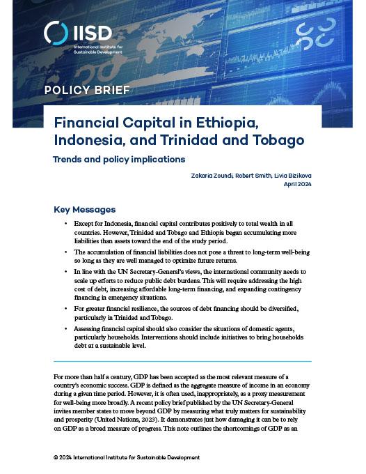 Financial Capital in Ethiopia, Indonesia, and Trinidad and Tobago ...