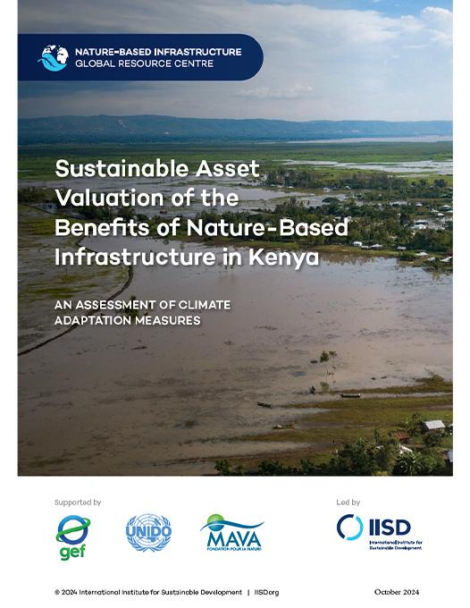 Sustainable Asset Valuation of the Benefits of Nature-Based ...