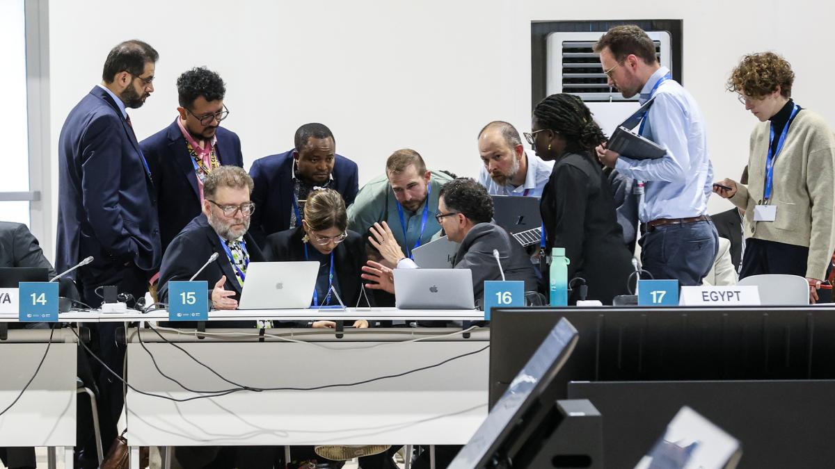 COP 29 Outcome Moves Needle on Finance | International Institute for ...