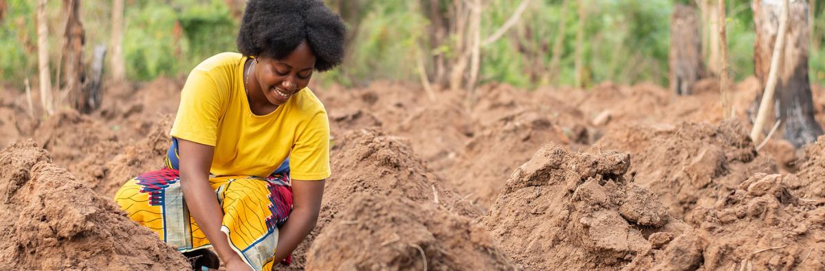 What Does Climate Adaptation Look Like in Action? Here are nine locally ...