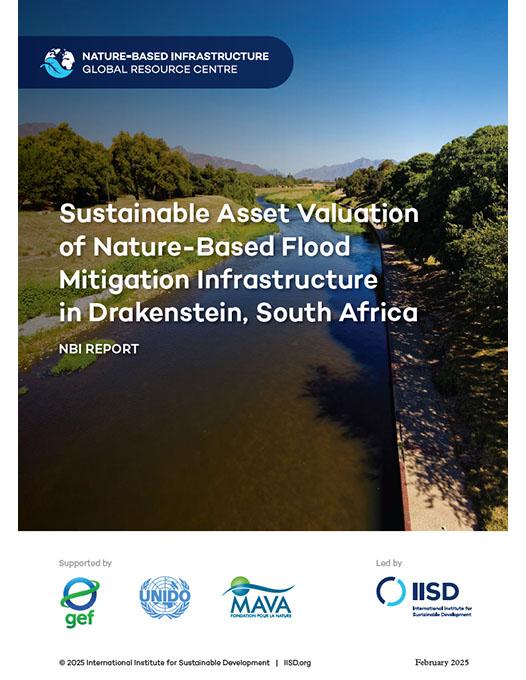 Sustainable Asset Valuation of Nature-Based Flood Mitigation ...