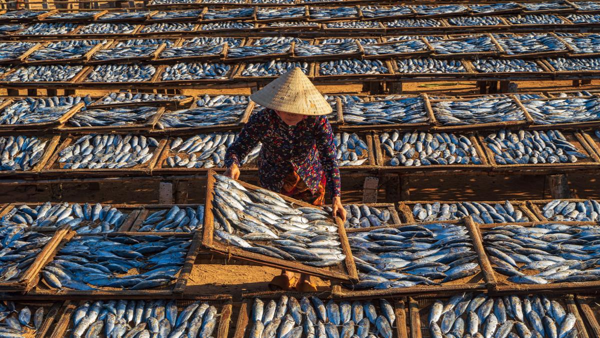 Government Support to Fisheries: Why should we care? | International ...