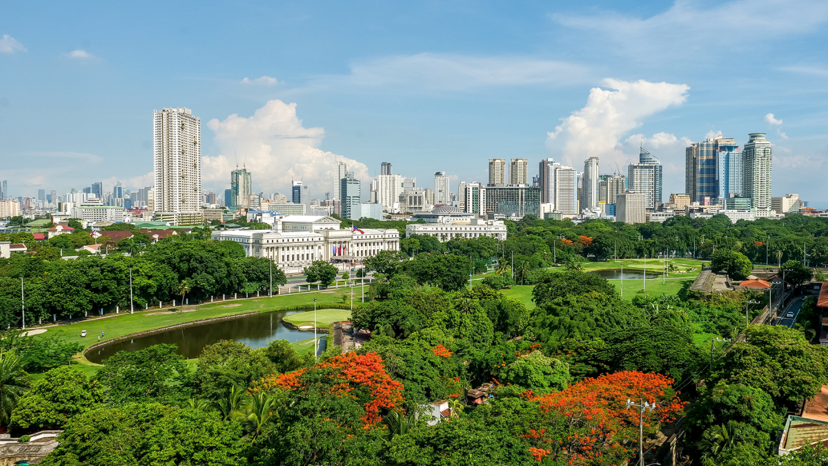 Navigating Investment Governance and International Commitments ...