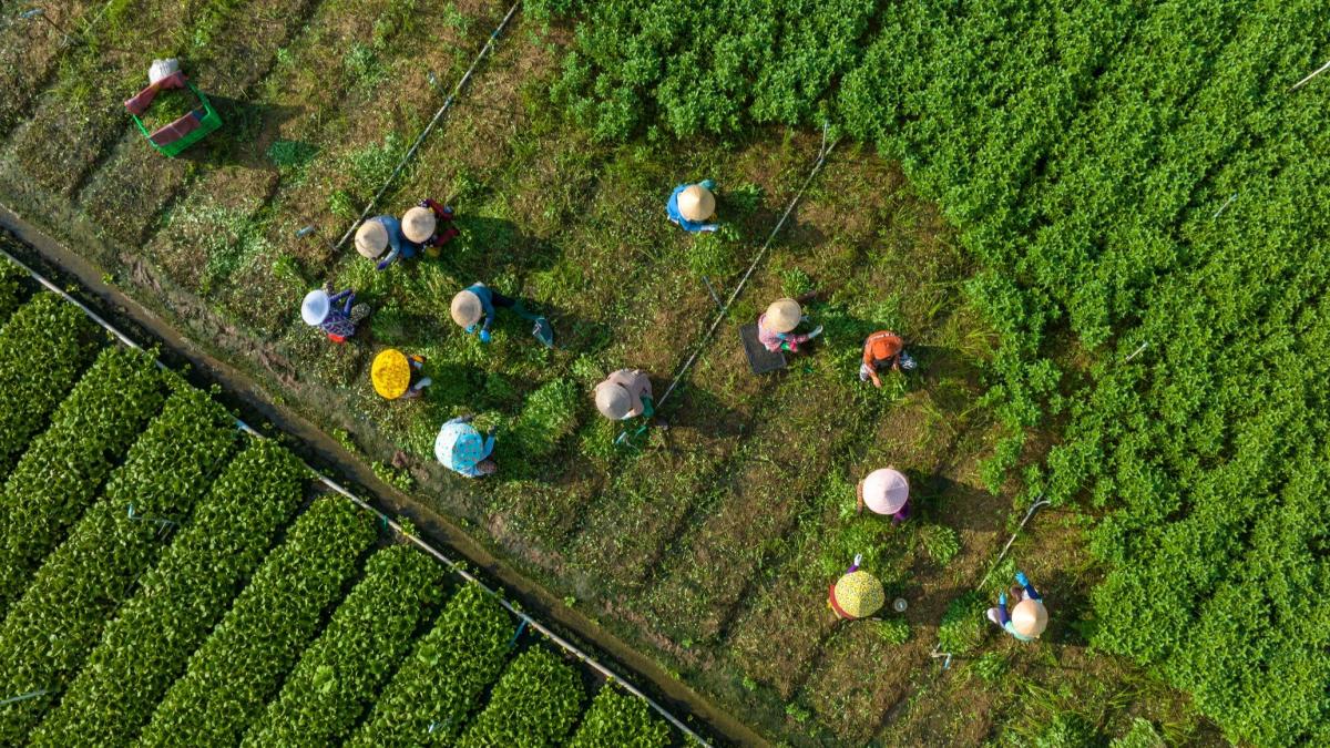 Why Gender Matters for Adaptation Indicators, and What’s at Stake in ...