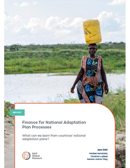 Finance for National Adaptation Plan Processes | International ...