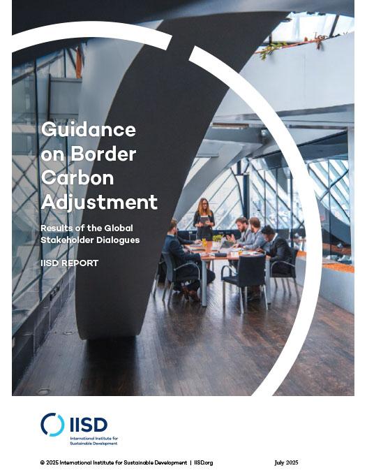 Guidance on Border Carbon Adjustment | International Institute for ...