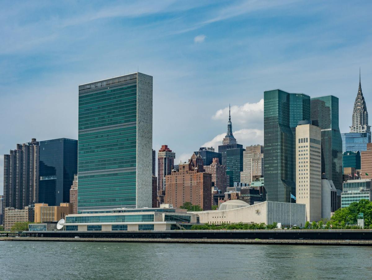 Inside the UN Tax Convention Negotiations | International Institute for ...