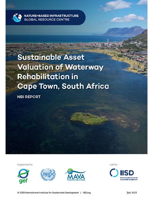 Sustainable Asset Valuation of Waterway Rehabilitation in Cape Town ...