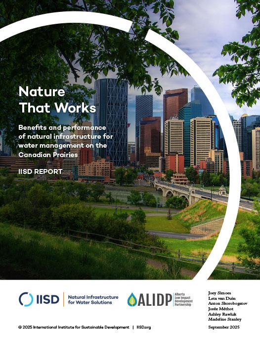 Nature That Works | International Institute for Sustainable Development