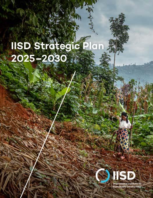 IISD Strategic Plan 2025–2030 | International Institute for Sustainable Development
