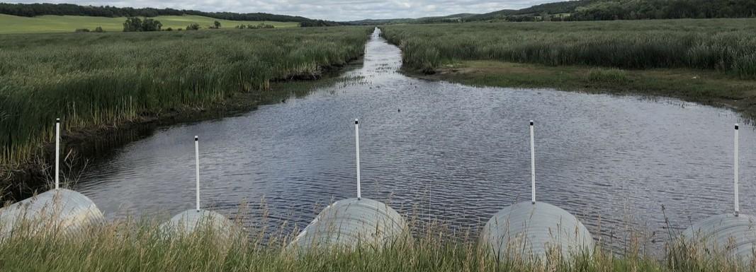 Nature-Based Approaches to Water Storage and Flood Mitigation ...