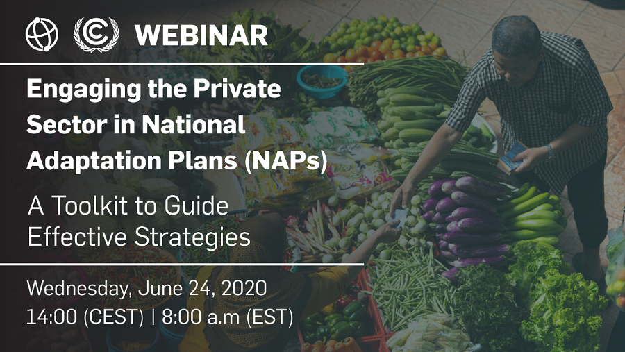 Engaging the Private Sector in National Adaptation Plans: A toolkit to ...