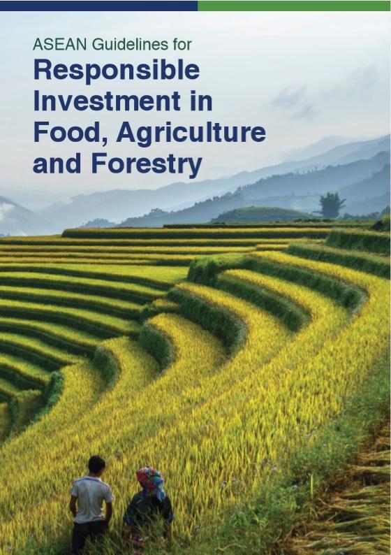 ASEAN Guidelines for Responsible Investment in Food, Agriculture and ...