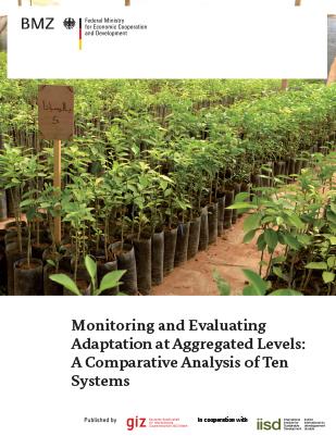 Monitoring and Evaluating Adaptation at Aggregated Levels: A ...