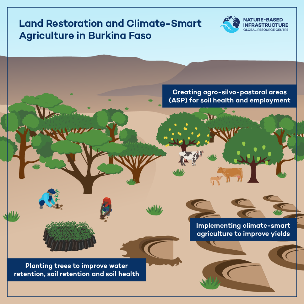 How Can We Work With Nature to Tackle Drought and Desertification ...