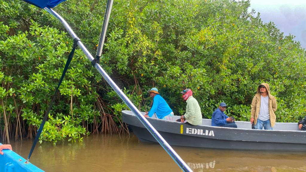 What Does Climate Adaptation Look Like in Action? Here are nine locally ...