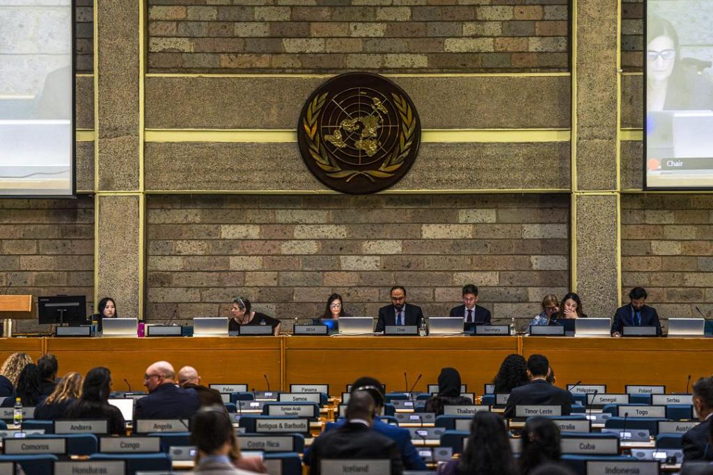 Inside the UN Tax Convention Negotiations | International Institute for ...