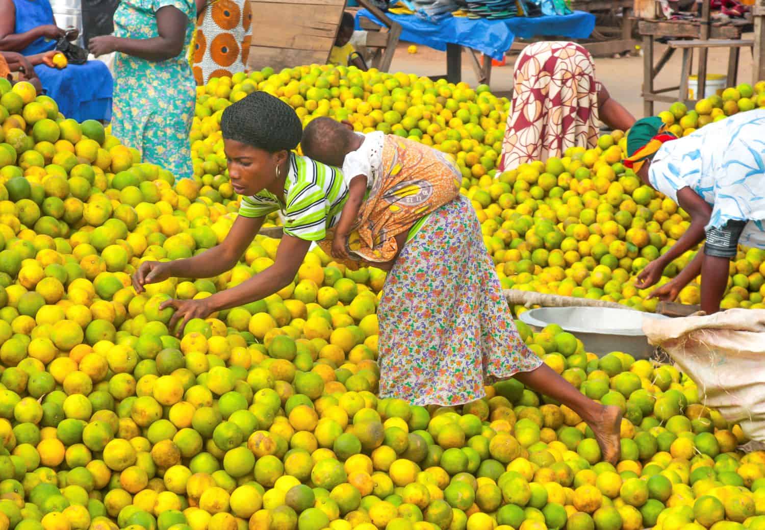 How Can Sustainability Standards Contribute to Empowering Women’s Food ...